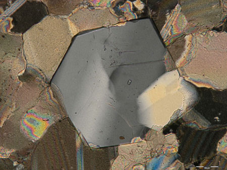 La struttura cristallina dei minerali ne determina la natura.