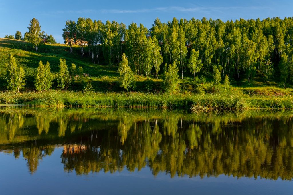 5 fiumi più lunghi d'Europa